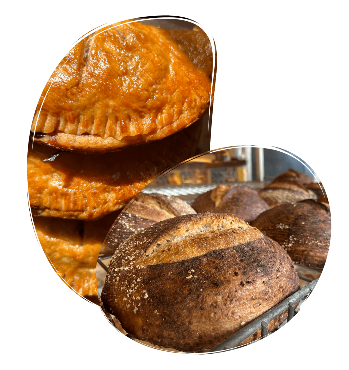 hungryghostbread.com – Wood-fired sourdough in Northampton, MA