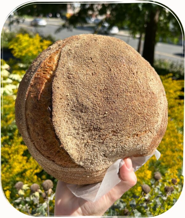 Bread Schedule – hungryghostbread.com