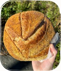 Bread Schedule – hungryghostbread.com