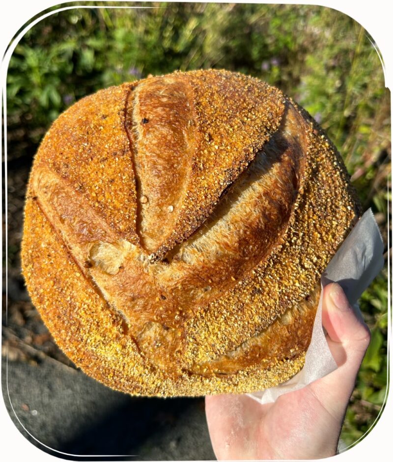 Bread Schedule – hungryghostbread.com