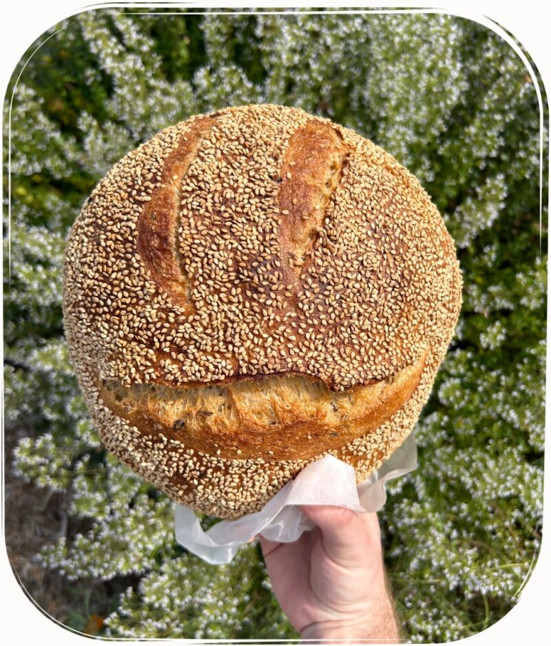 Bread Schedule – hungryghostbread.com