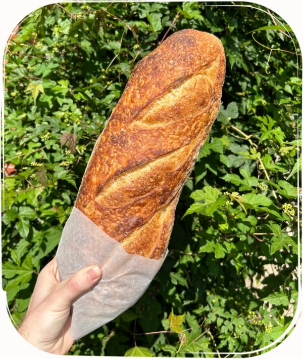 Bread Schedule – hungryghostbread.com