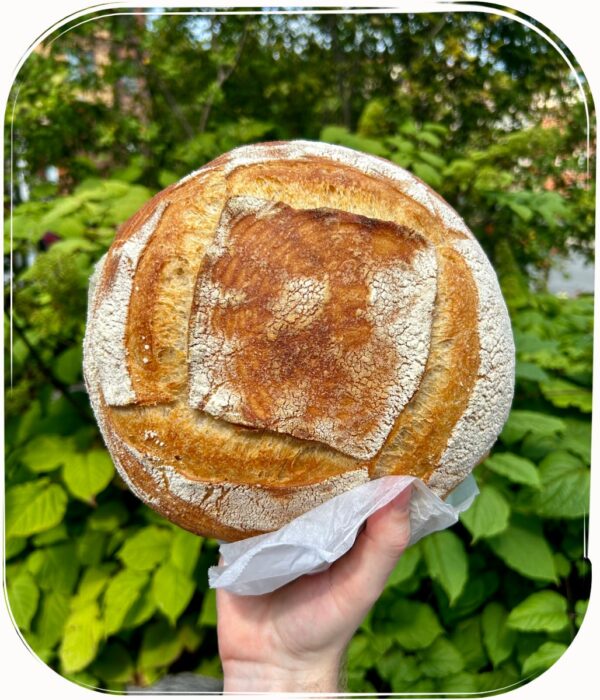 Bread Schedule – hungryghostbread.com