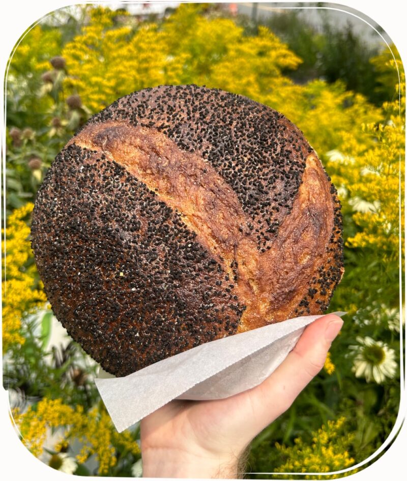 Bread Schedule – hungryghostbread.com