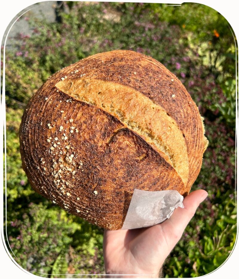 Bread Schedule – hungryghostbread.com