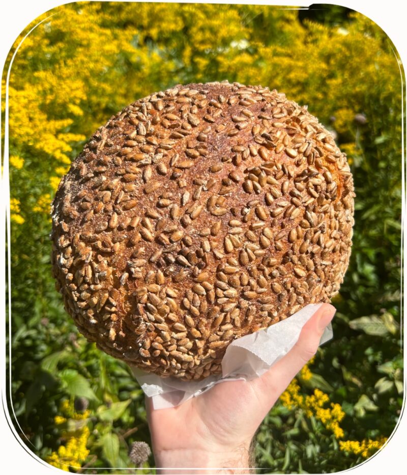 Bread Schedule – hungryghostbread.com