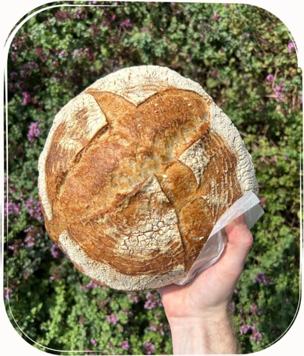 Bread Schedule – hungryghostbread.com